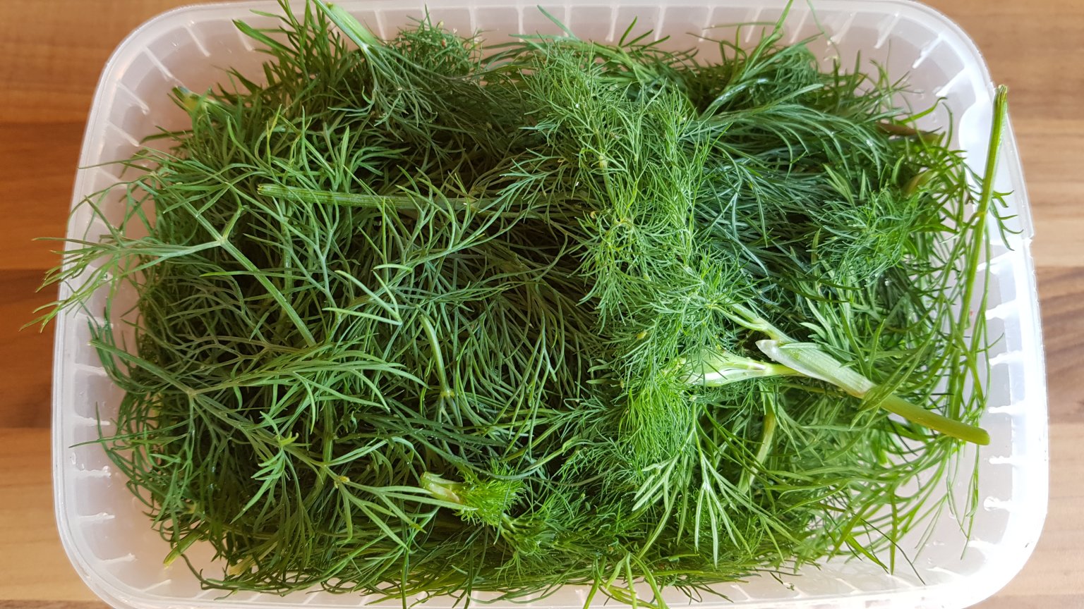 Kopr - Uzdrav sám sebe